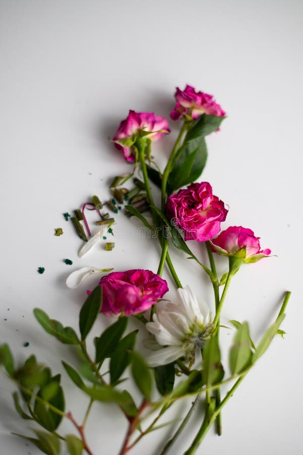 Old Flowers from a Bouquet. Making a Bouquet Stock Image - Image of ...