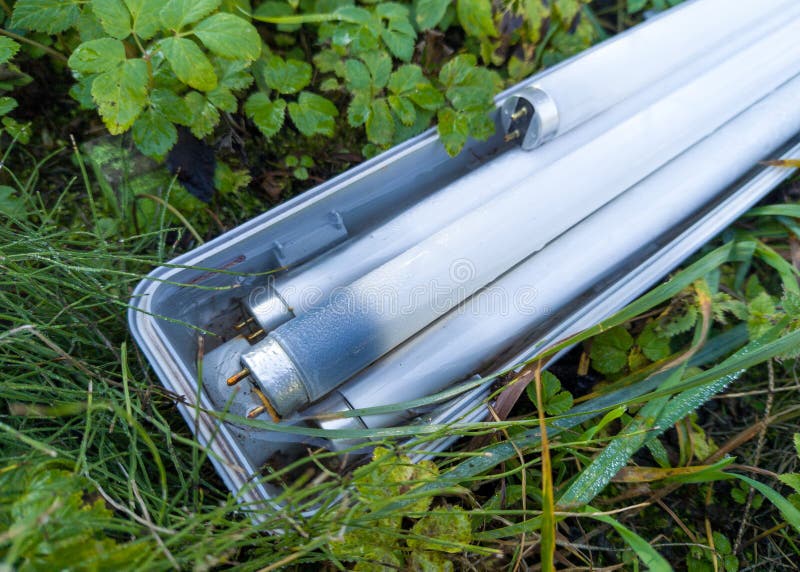 Old Fluorescent Tubes on Grass Waste Disposal Stock Image - Image of ...