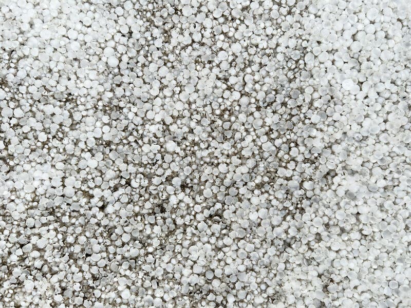 Old foam texture stock image. Image of garden, design - 258197263