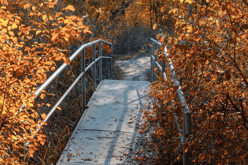 Old Foot Bridge in Autumn Forest Stock Photo - Image of outside, forest ...