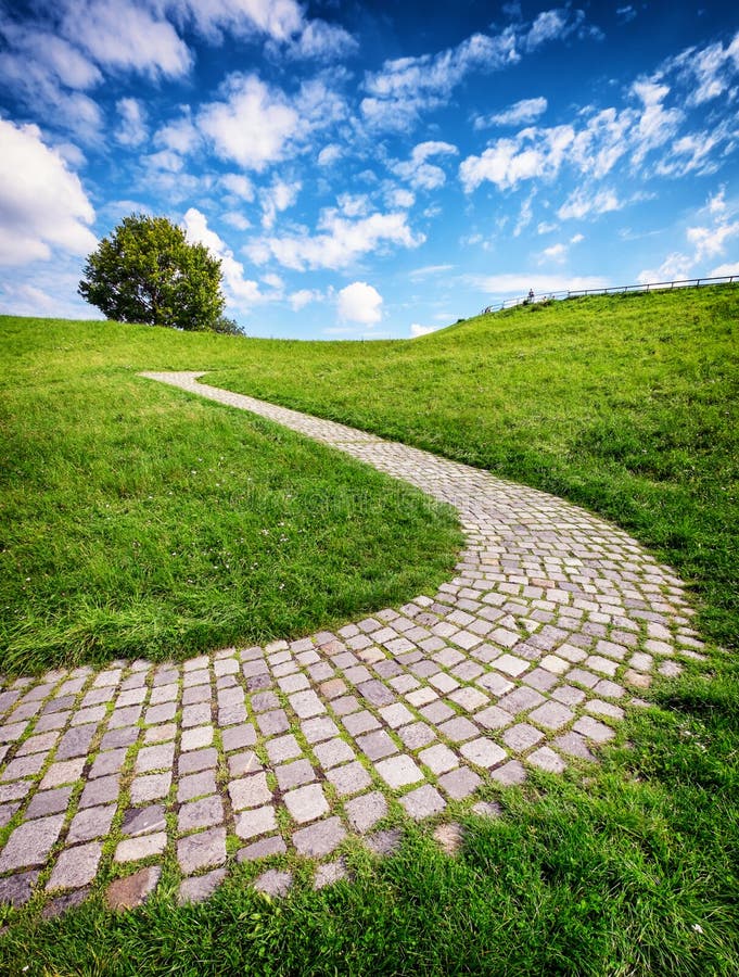 Old footpath stock image. Image of road, summer, grass - 46929145
