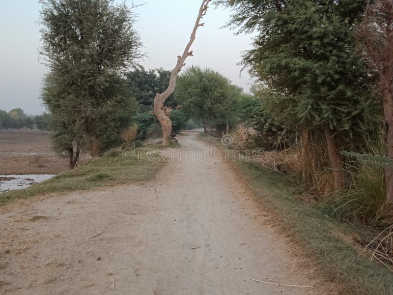 Footpath stock photo. Image of forgotten, footpath - 132334506