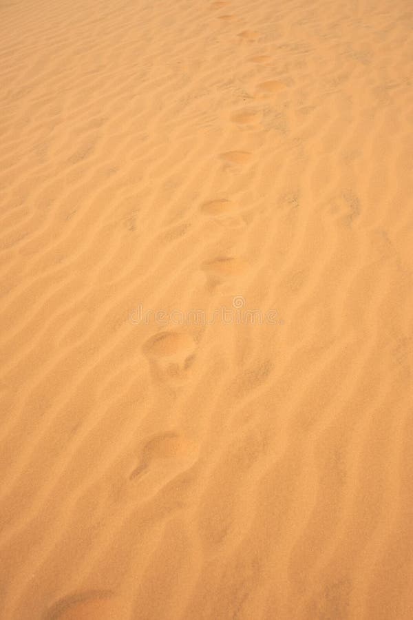 Birds Footprints Dry White Beach Sand Stock Photos - Free & Royalty-Free Stock Photos from ...