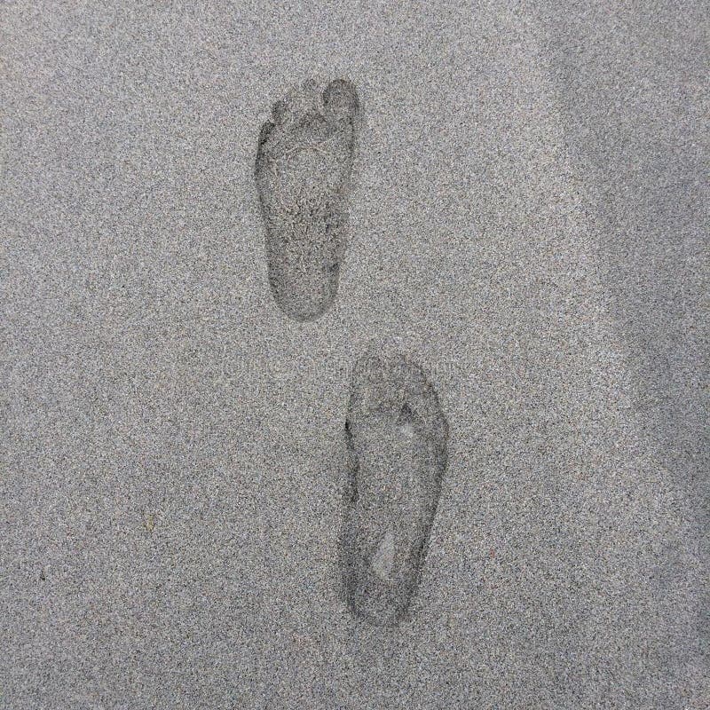 The Old Footprints Will Disappear by Themselves Stock Photo - Image of ...