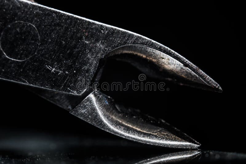 1,048 Old Forceps Stock Photos - Free & Royalty-Free Stock Photos from ...