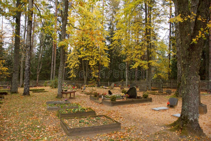 Old forest graveyard stock photo. Image of peace, tomb - 62748464