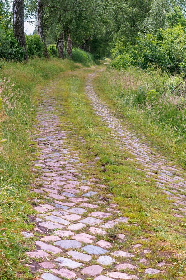 Cobblestone Road Outside the City, Old German Road in the Forest Stock ...