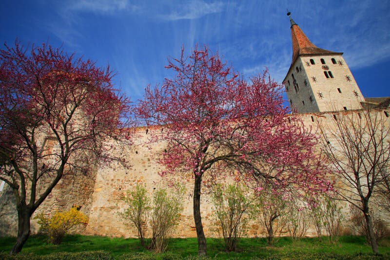 Old fortress stock image. Image of tree, trees, walls - 2167905