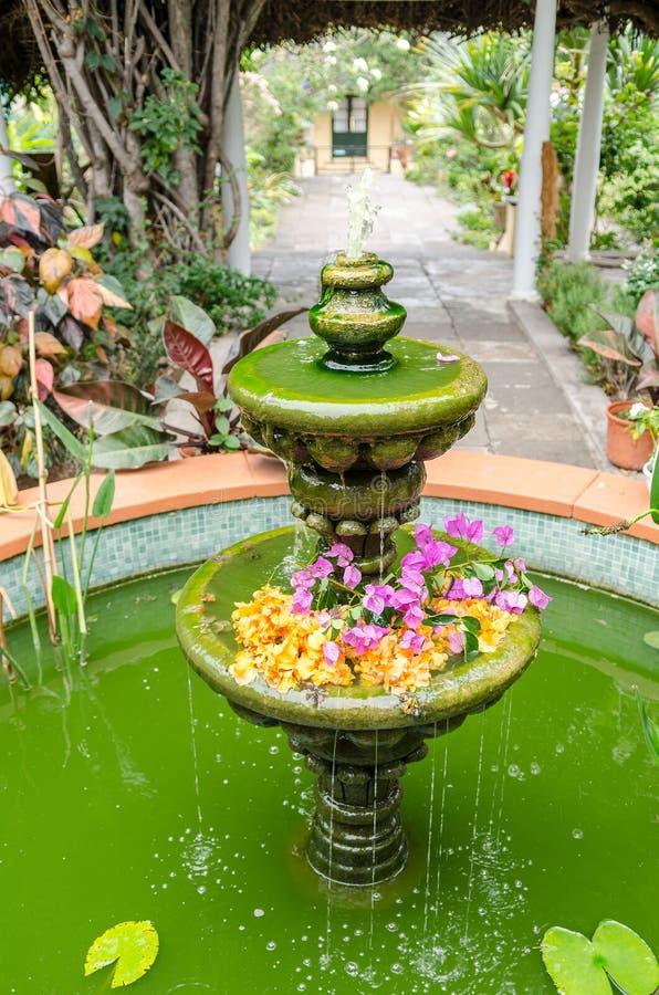Fountain with Flowers Designed and Built Stock Photo - Image of nature ...