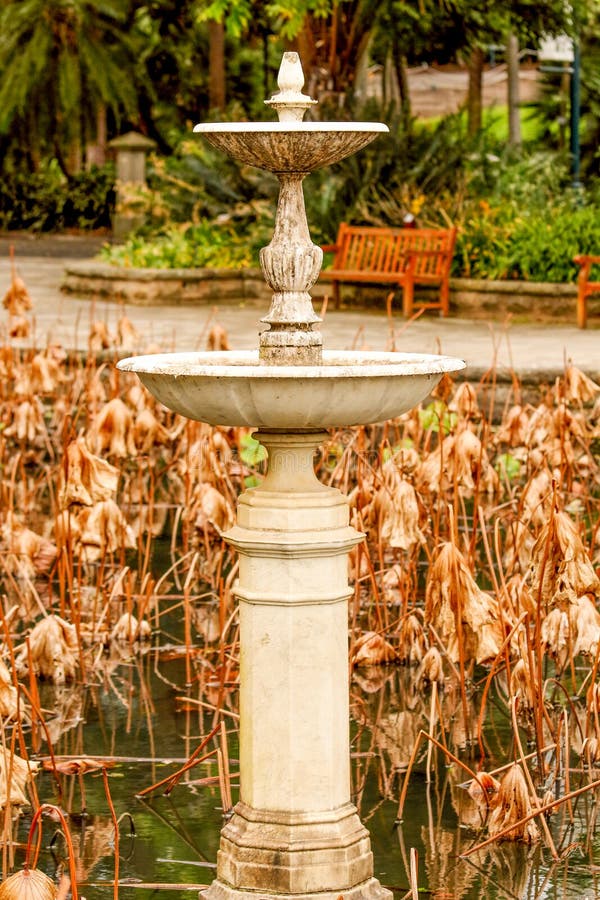 Old fountain stock image. Image of dried, wilt, leaf - 42488561