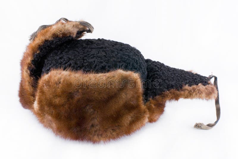 Close-up of dog s fur. stock image. Image of background - 2037657