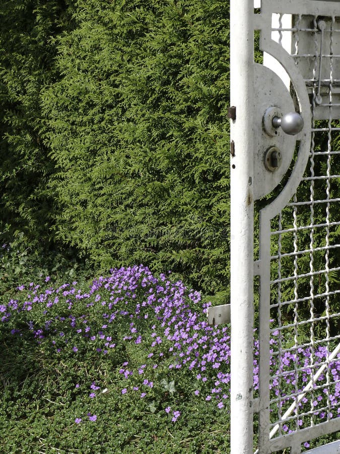 Old Garden Gate in Spring stock photo. Image of welcoming - 28927940