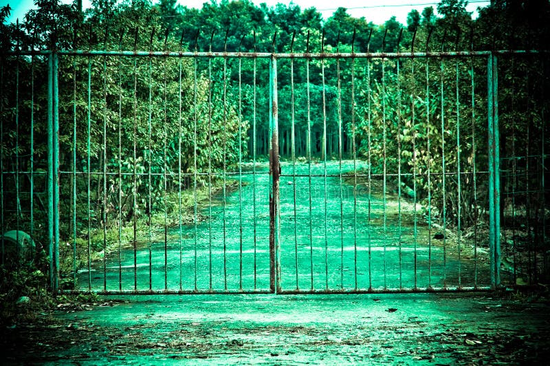 Old gate stock photo. Image of yard, door, fence, garden - 7513330