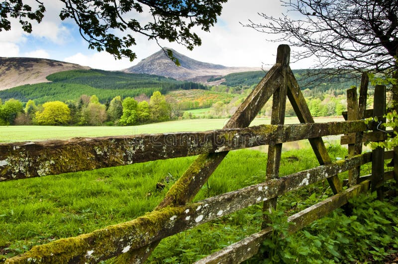 Old Gate stock image. Image of gate, branches, arran, fields - 9330057