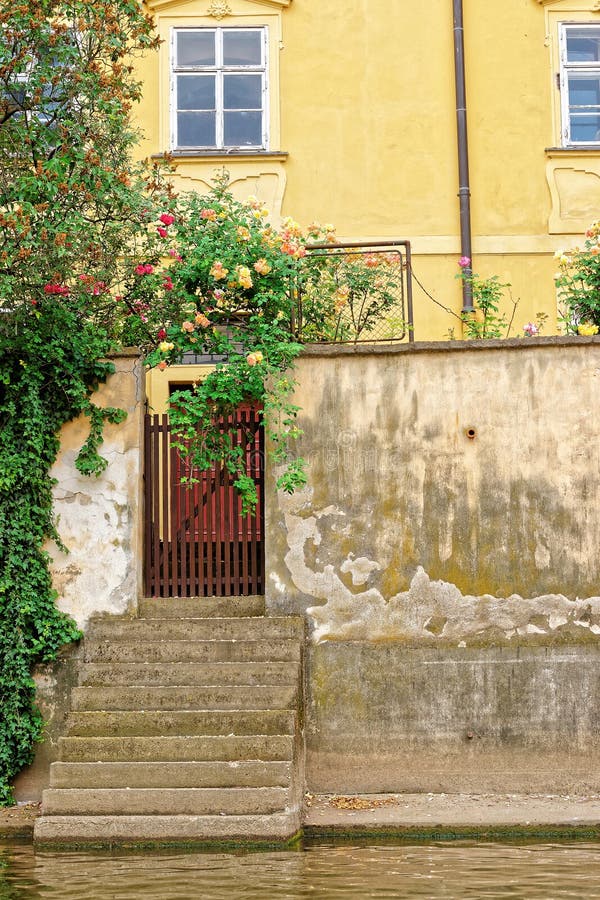 Old Gate with Flowers in House in Prague Stock Photo - Image of rose ...