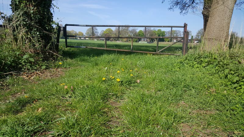 Old Gate that Leads To a Grass Field Stock Photo - Image of flowers ...