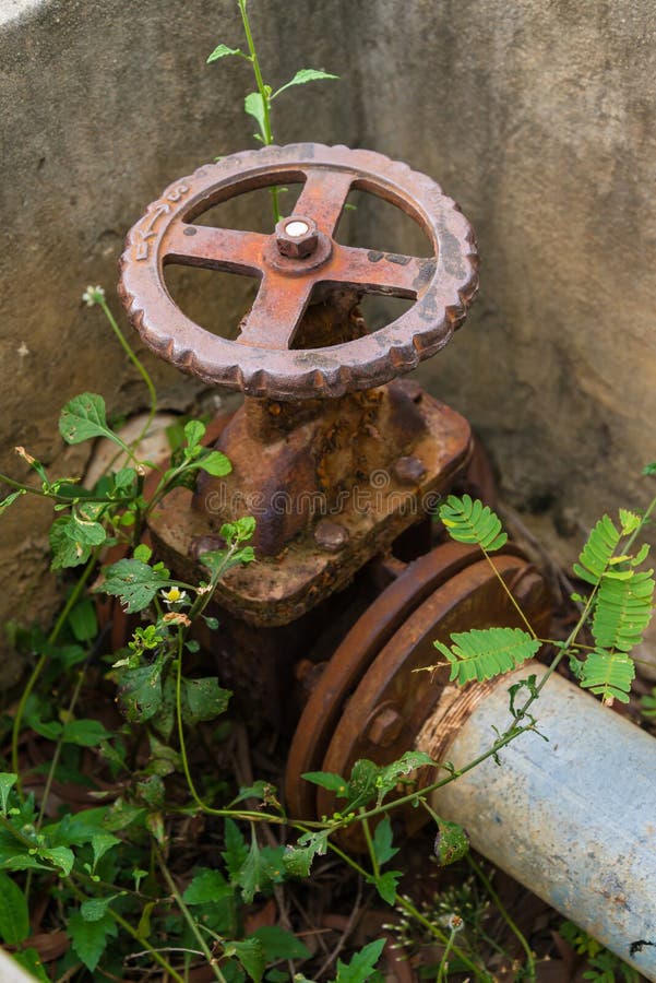 Old Gate valve stock photo. Image of machinery, scale - 289142858