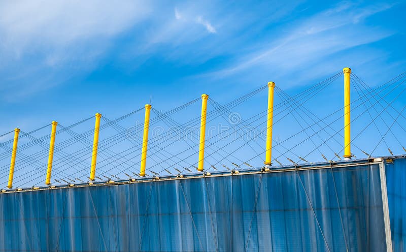 Yellow Posts into Distance stock photo. Image of yellow - 31353960