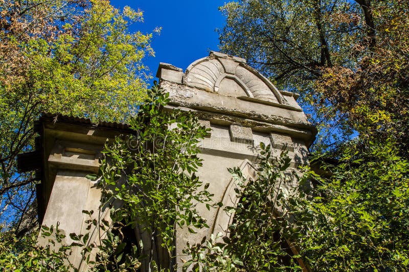 An Old Gothic Building in the Forest Stock Photo - Image of tree ...