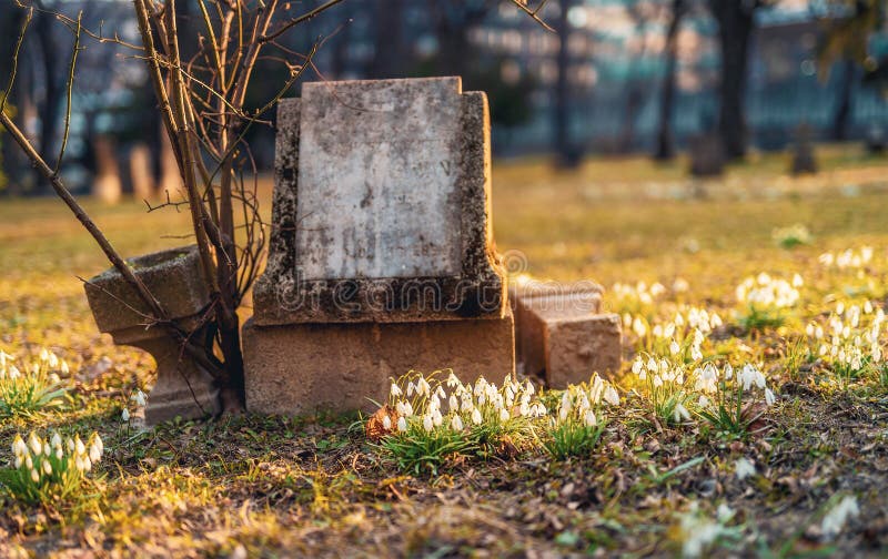 Old Grave in the Cemetery. Cemetery with Places for Names on the ...