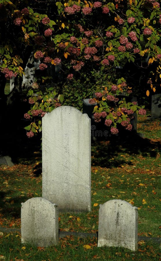 Old Gravestones in a Cemetery. Stock Photo - Image of nova, gravestones ...