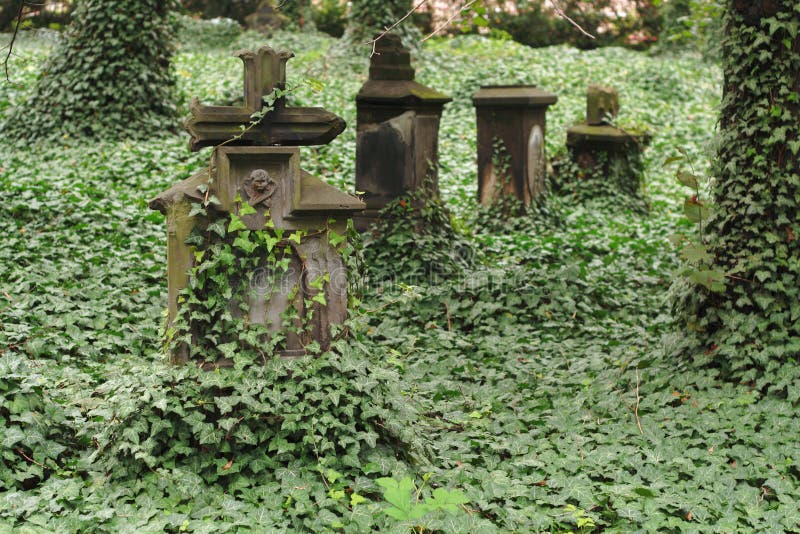 Old Graveyard Picture. Image: 8397708