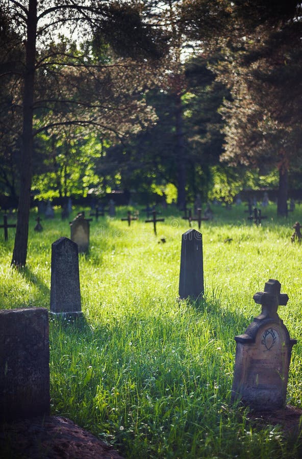 Old Graveyard in Park stock image. Image of life, natural - 92309267