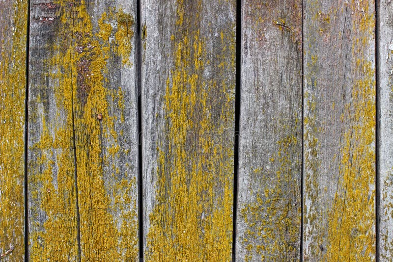 Old Gray Board Texture or Background Stock Image - Image of texture ...