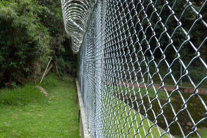 Old Gray Diamond Grid with Circular Barbed Wire into Forest Stock Image ...