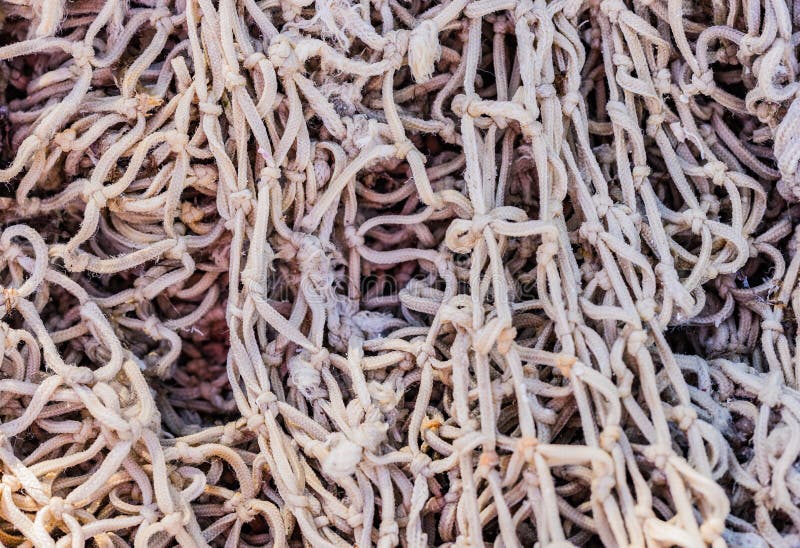 510 Gray Fish Fishing Net Stock Photos - Free & Royalty-Free Stock ...