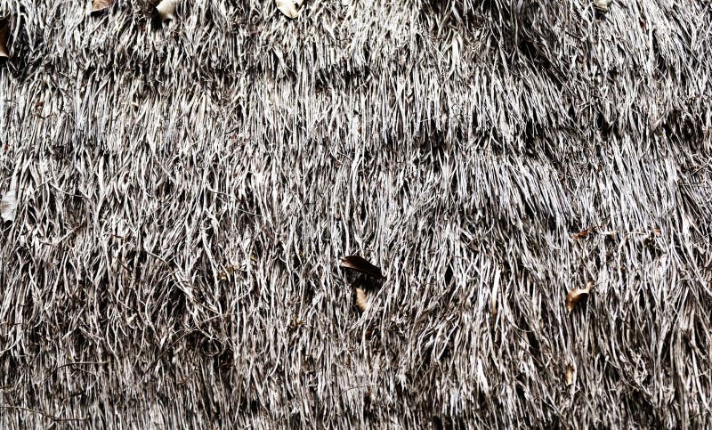 Old gray grass roof stock image. Image of roofing, rural - 92838781