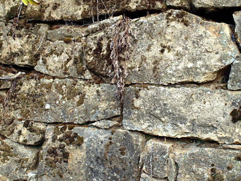 Old Masonry Covered with Moss and Withered Grass Stock Image - Image of ...