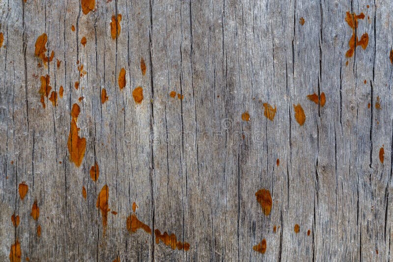 Old Gray Wood Macro Texture with Rusted Spots Stock Image - Image of ...