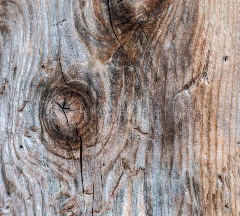 Old Wooden Texture. Background of the Old Tree Stock Image - Image of ...