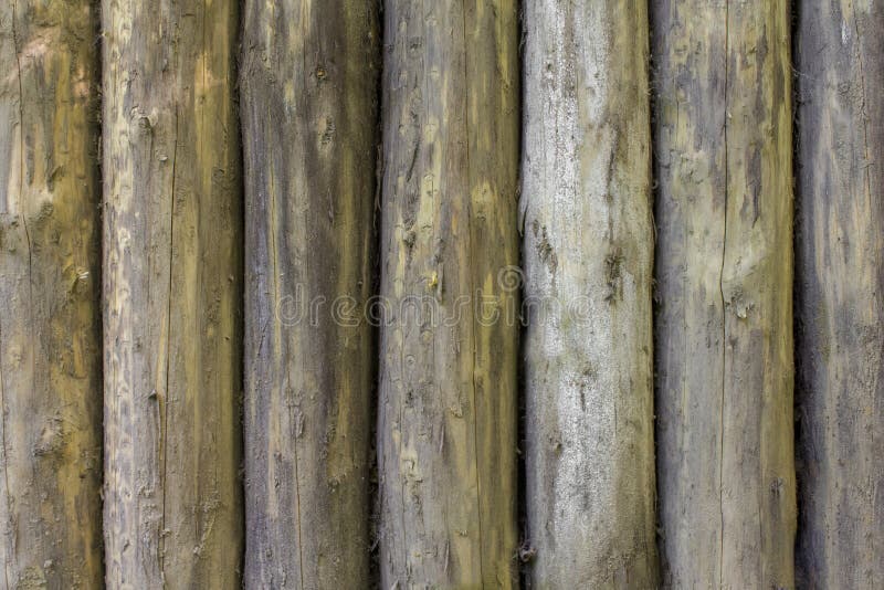 167 Fence Made Tree Trunks Stock Photos - Free & Royalty-Free Stock ...
