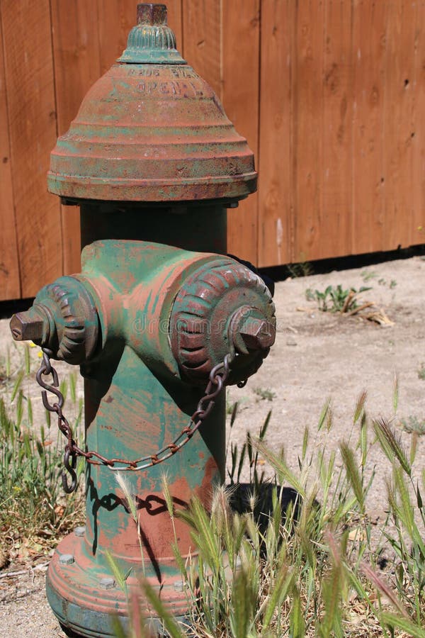 Green Fire Hydrant stock image. Image of plant, utilities - 228983165