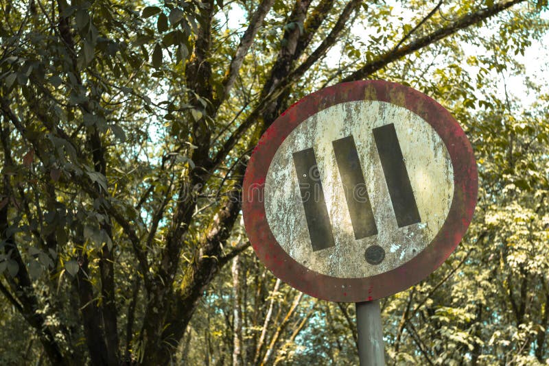 Old Green Forest with a Street Sign Stock Photo - Image of sign, street ...