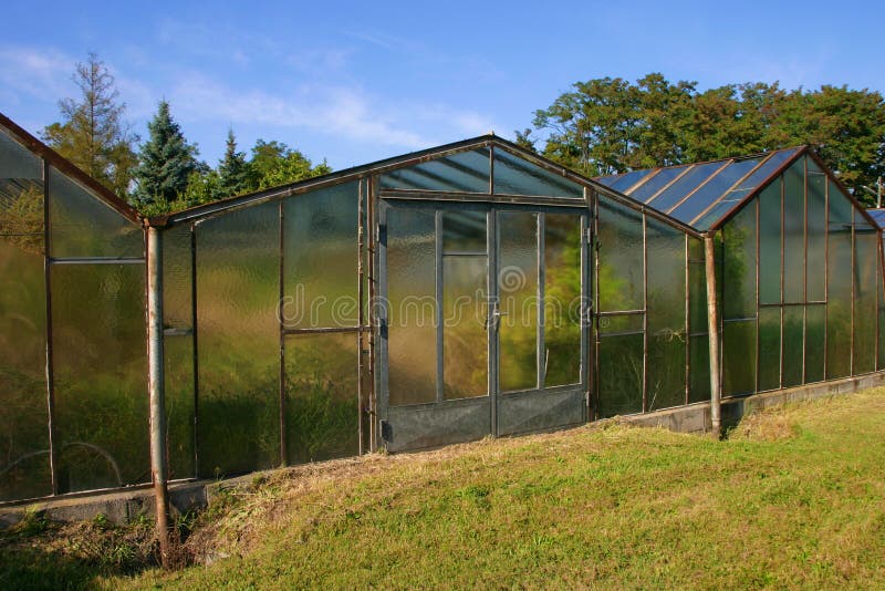 Old greenhouse stock image. Image of nature, greenery - 19314325