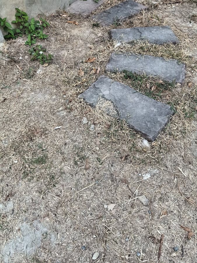 Old Grey Cement Path of My House. Stock Image - Image of plant, grave ...