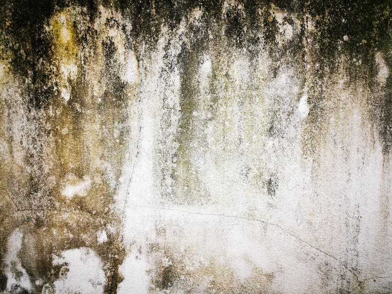 Old Grunge Texture Background Perfect Background with Space and ...