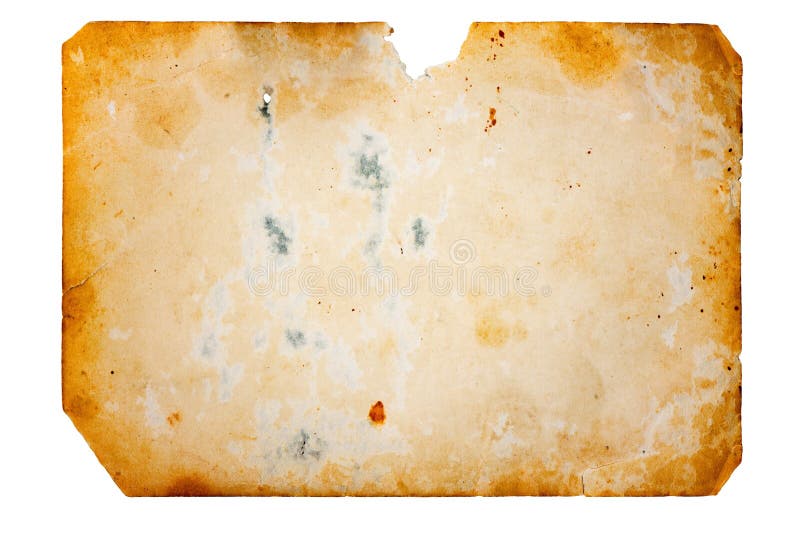 Old grungy paper sheet. stock photo. Image of roll, damaged - 100341254