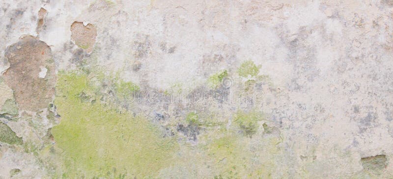 Old Grungy Wall with Damaged Plaster Abstract Banner Background Texture ...