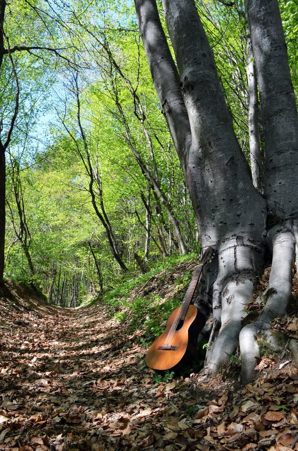 Free Classical Guitar Sheet Music Green Stock Photos - Free & Royalty ...