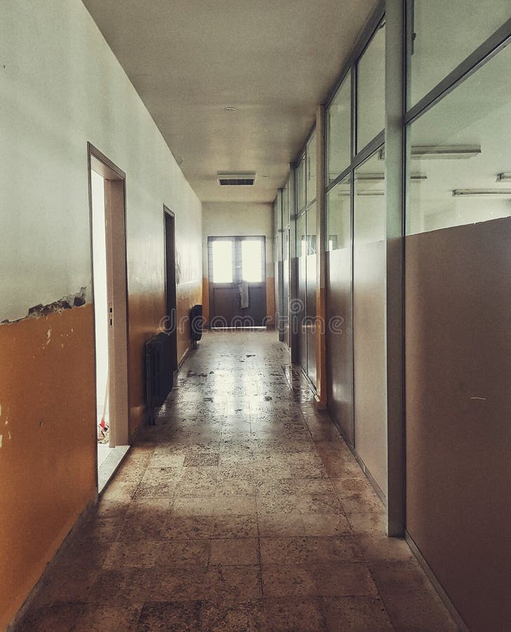 An Old Hallway stock photo. Image of academic, perspective - 135822644