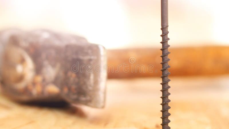 Hammer (with Clipping Path) Stock Image - Image of claw, wood: 11642945