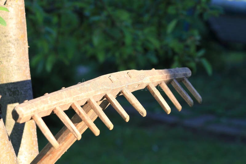 Old Hand-made Rake for Hay in the Village Stock Photo - Image of ...