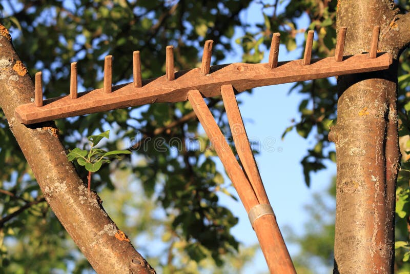 Old Hand-made Rake for Hay in the Village Stock Photo - Image of summer ...
