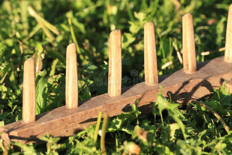 Old Hand-made Rake for Hay in the Village Stock Photo - Image of rake ...
