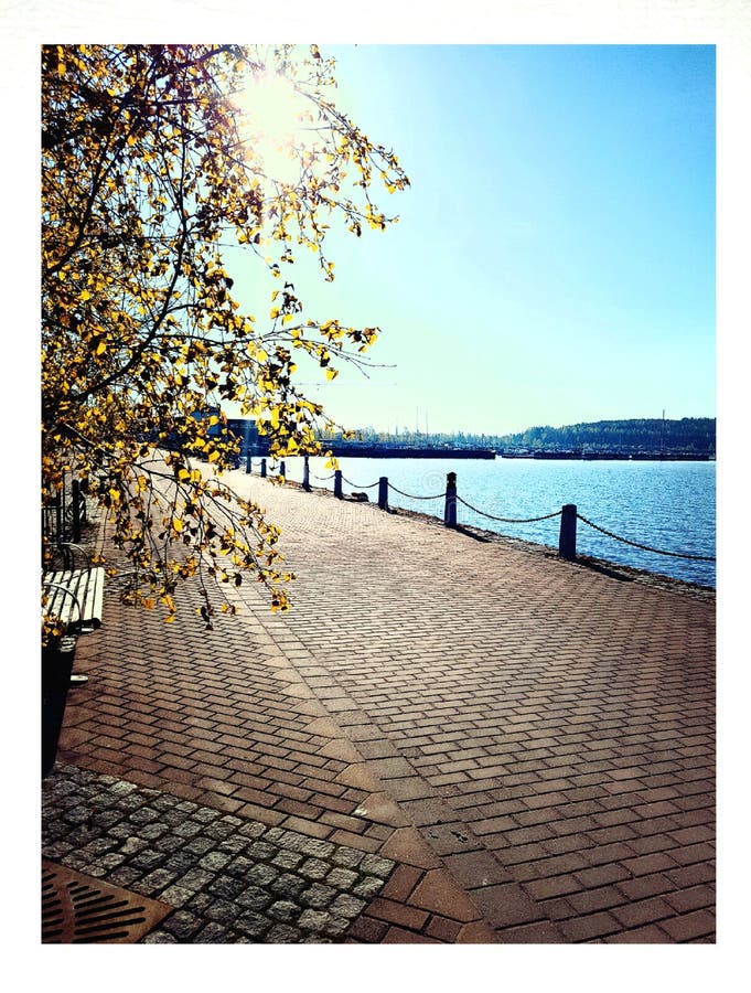 Old harbour stock image. Image of water, tree, harbour - 96080519