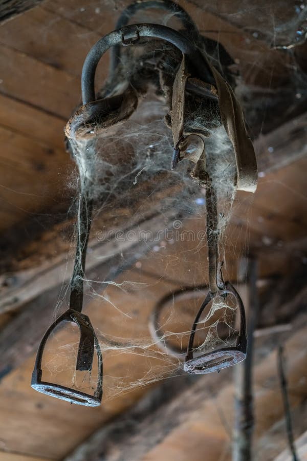 Old Harness Hanging from the Ceiling Stock Photo - Image of dirty ...